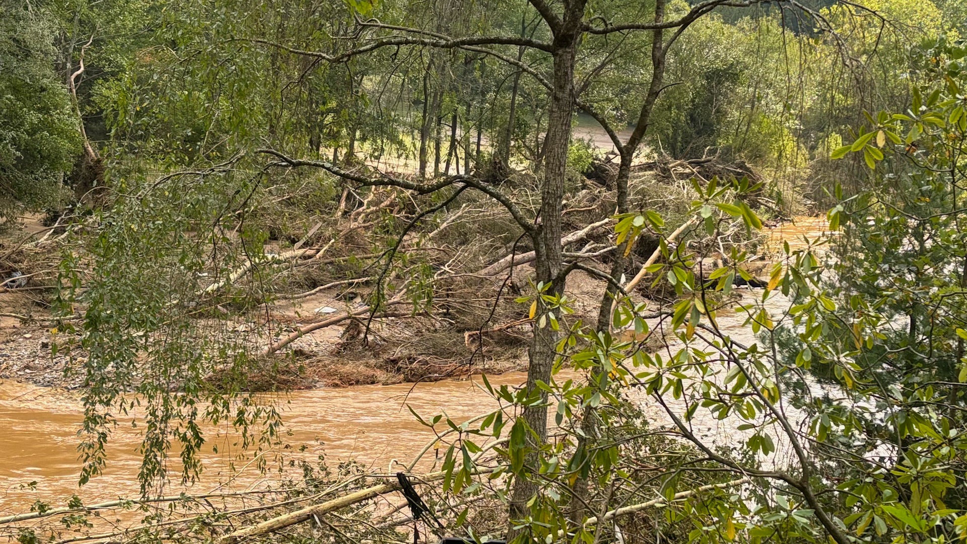 NC family braves falling trees, raging river to reach safety