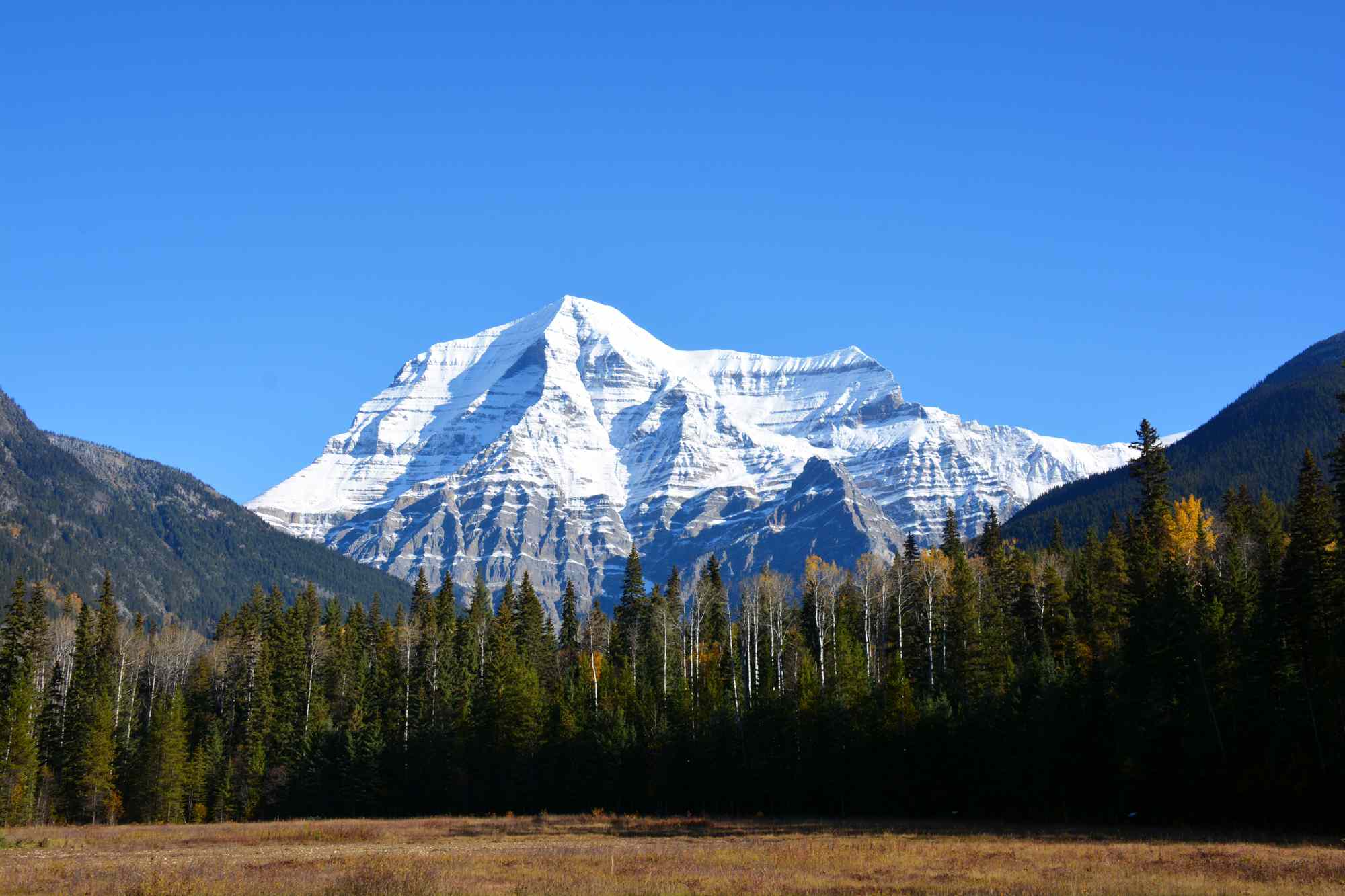 When a Vanderbilt heir vanished hiking the Canadian Rockies, his family ...