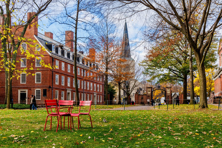 21 people who completely started their lives over from scratch are ...