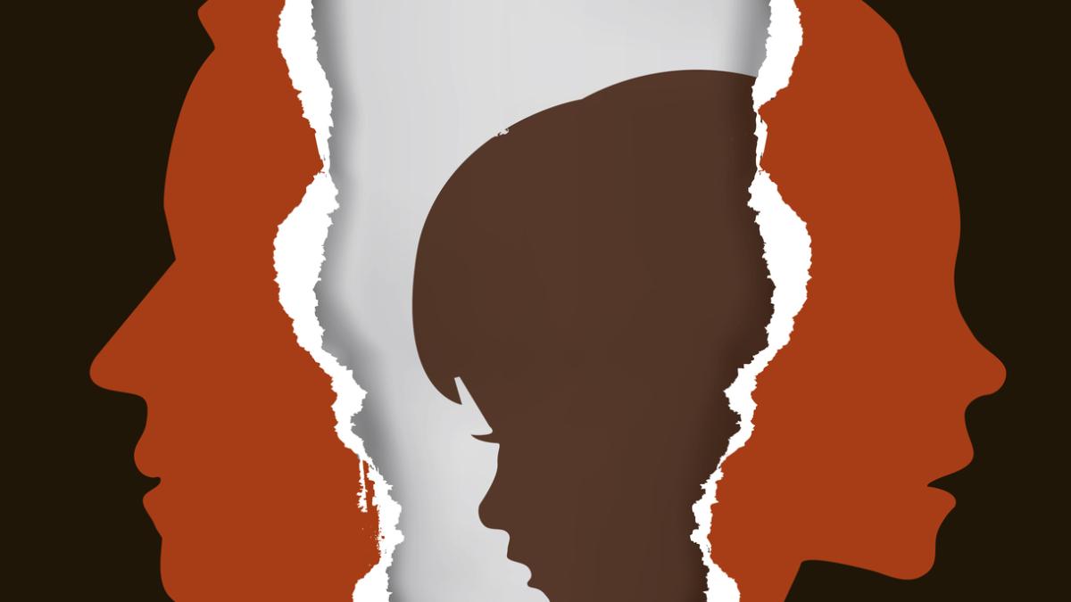 Trabajo con familias y la idea del 50/50 está llevando al divorcio a ...