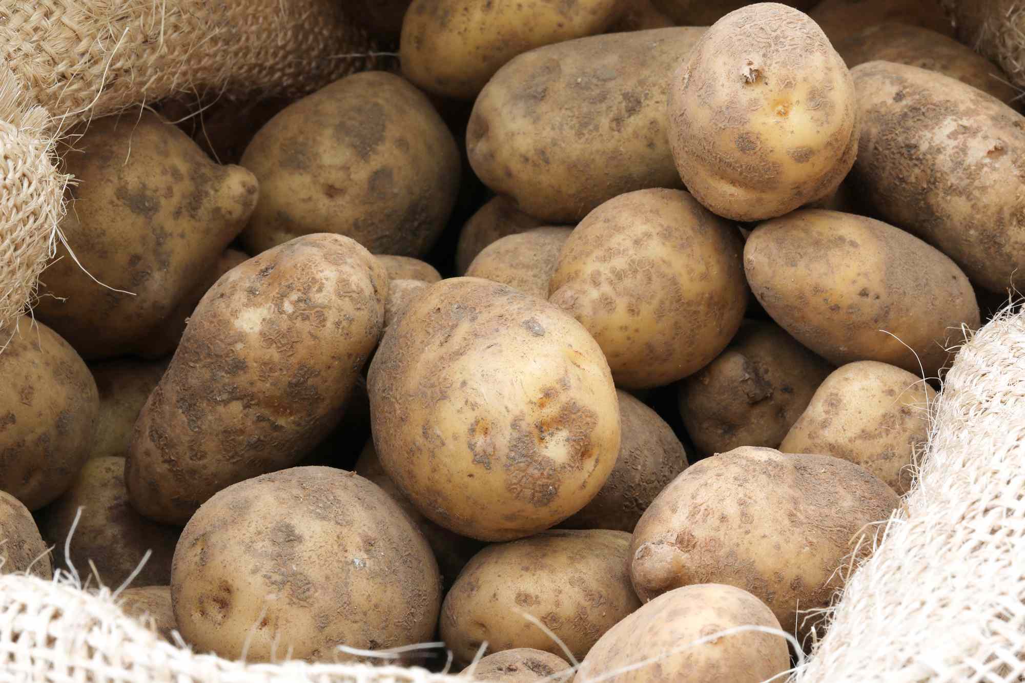 76,000 Pounds of Potatoes Dumped AcrossFreeway Outside of Las Vegas ...