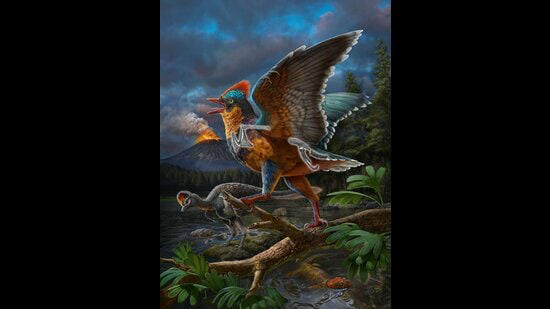 How to survive an asteroid: A look at how birds made it this far