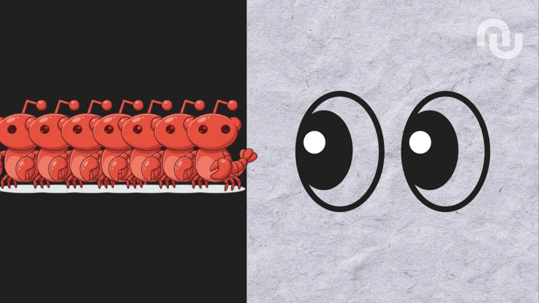 « Singularité », religion, complot contre les humains : que se passe-t ...