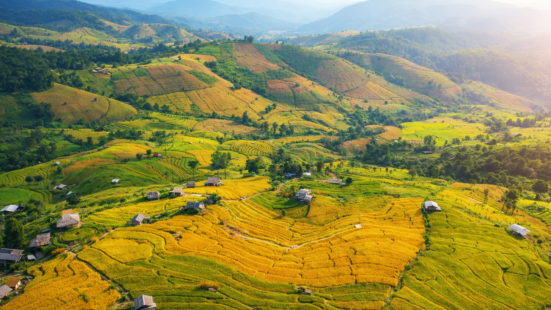 Why are these fields shaped like waves?