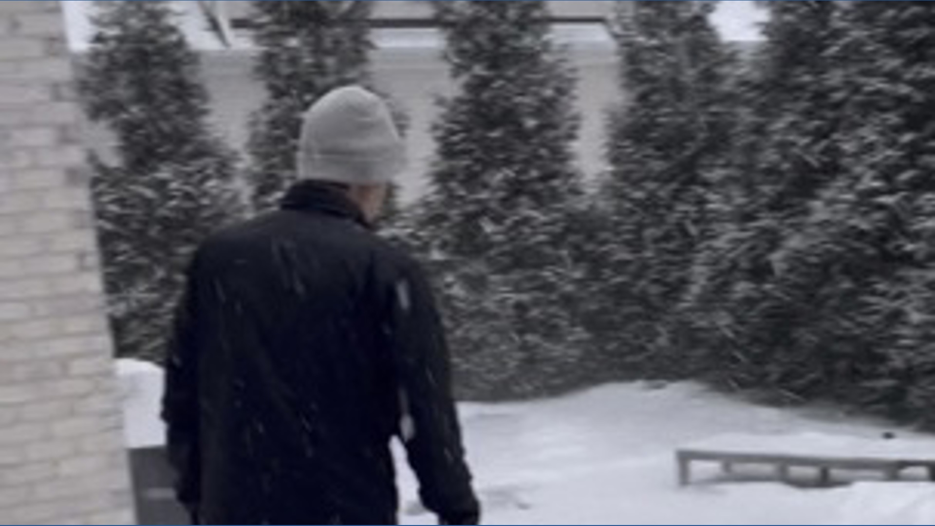 Leaf blowing the snow