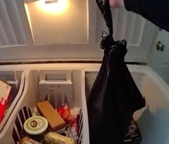 Dismembered mom found in freezer after son kills her in bizarre ...