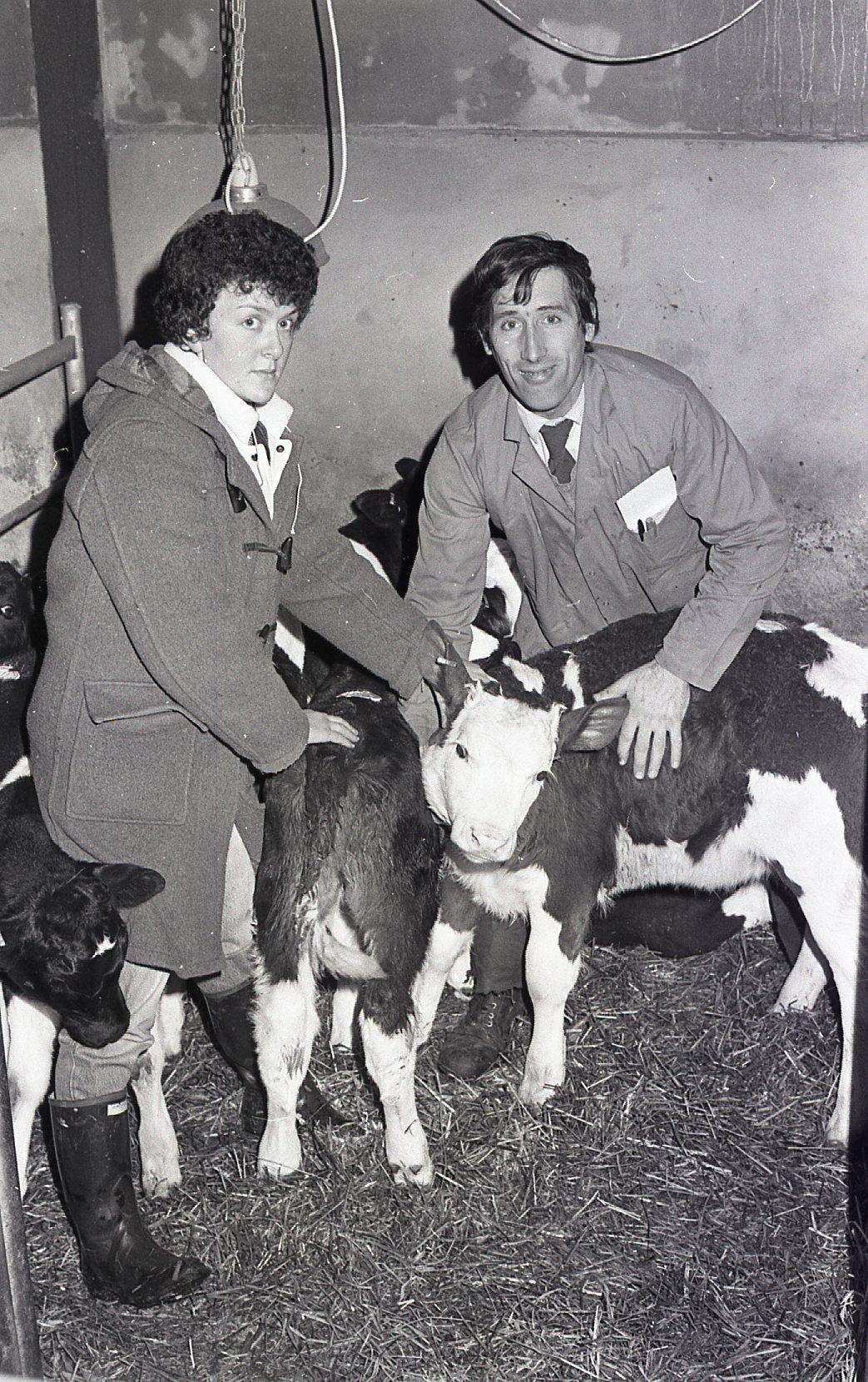 Bleary Farmers’ Union hold their annual ploughing in Ballydugan field ...