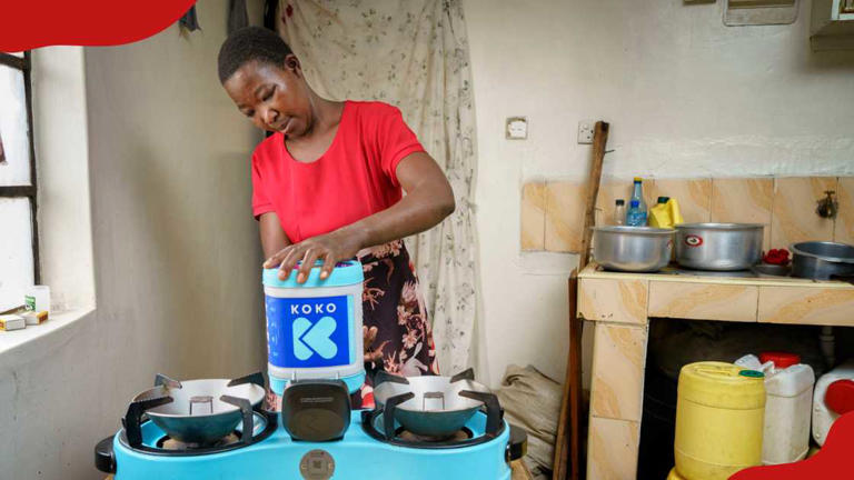 Koko collapse: Why World Bank-backed Kenyan clean cooking startup failed