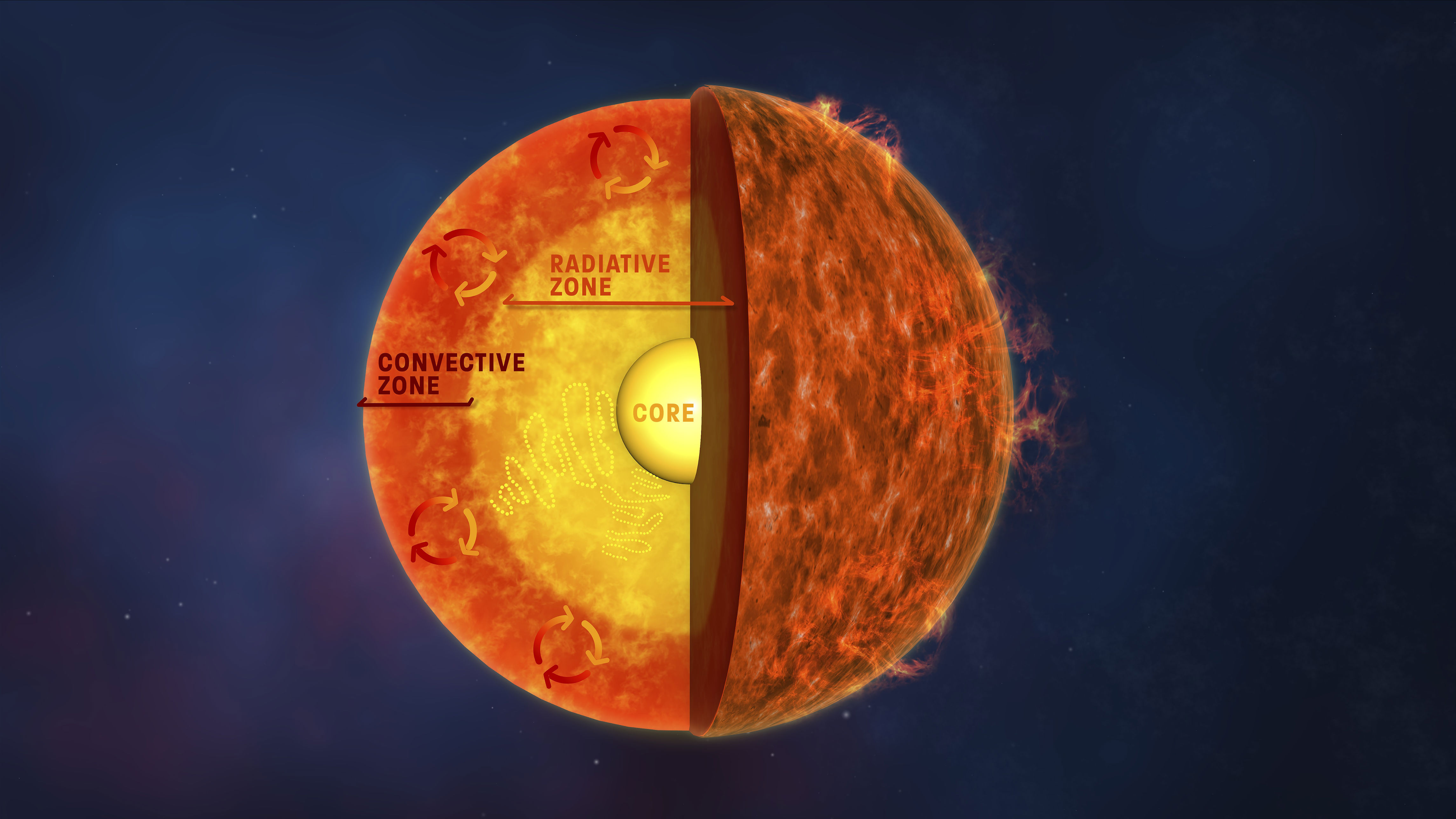 How long does it take the sun to rotate?