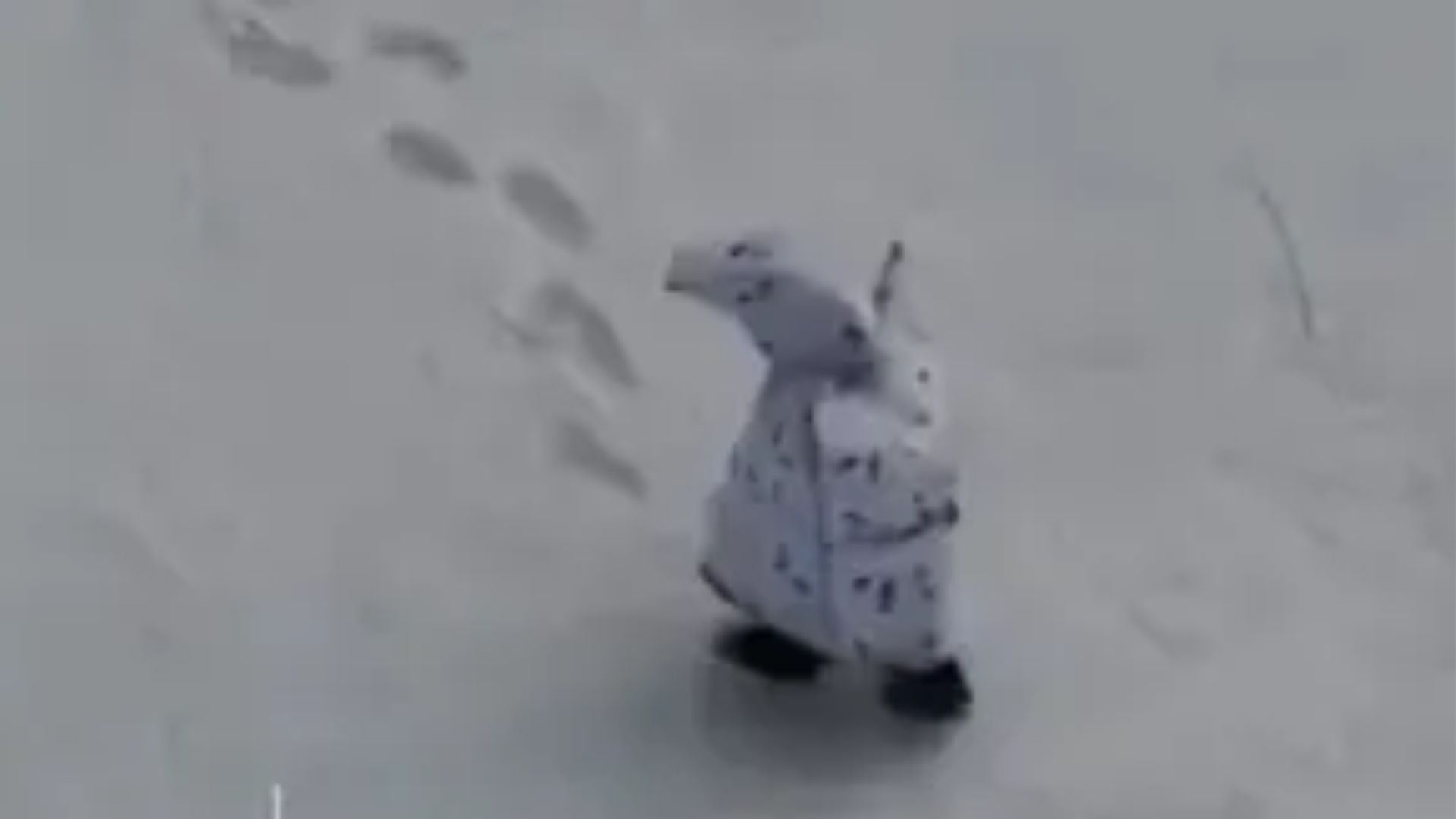 Russia’s ‘Penguin’ camouflage on Ukraine front fails as its troops ...