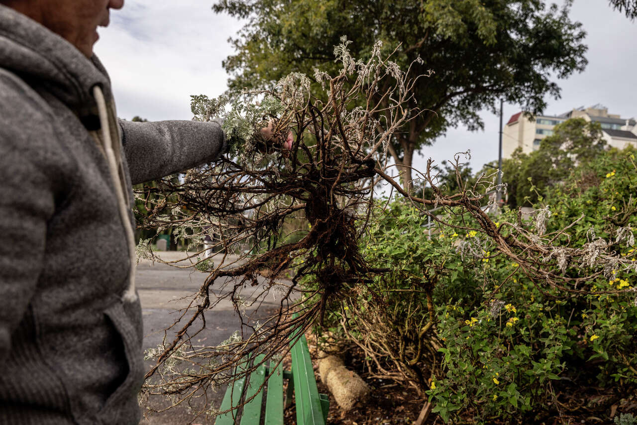 Neighbors say a machete-wielding man is terrorizing their local park ...