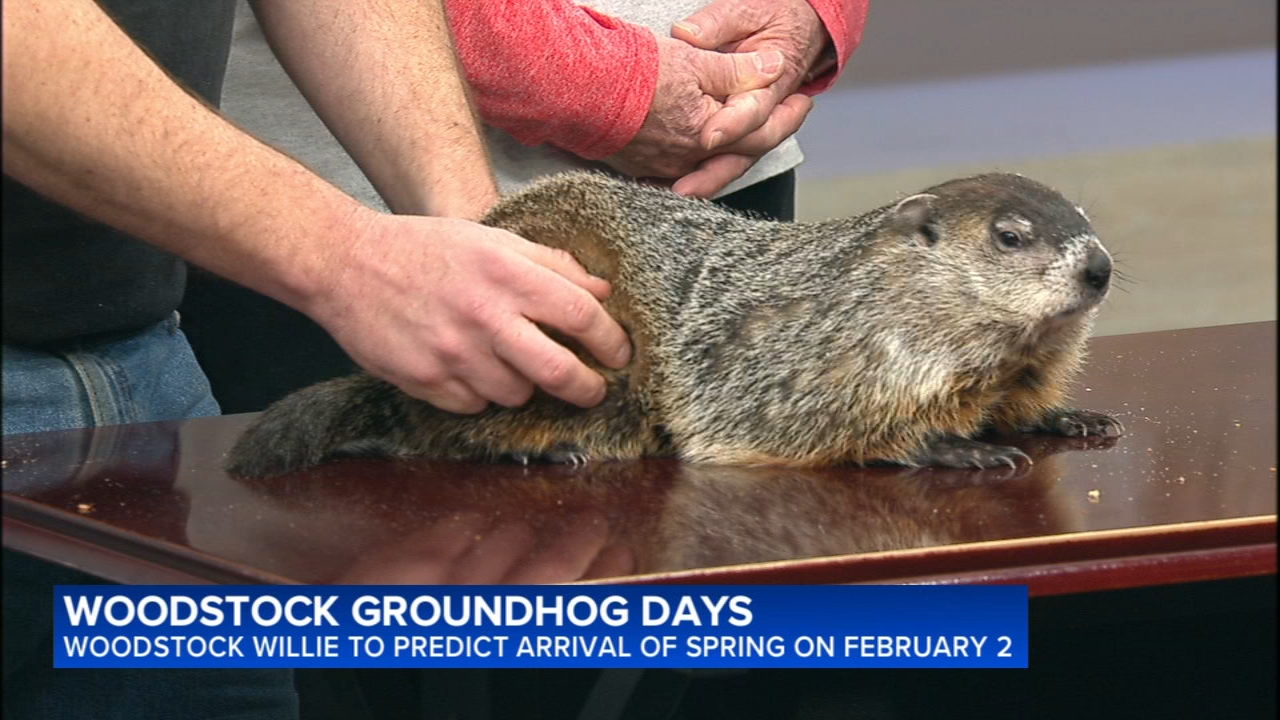 Groundhog Day 2026: Will Woodstock Willie see his shadow on Groundhog ...