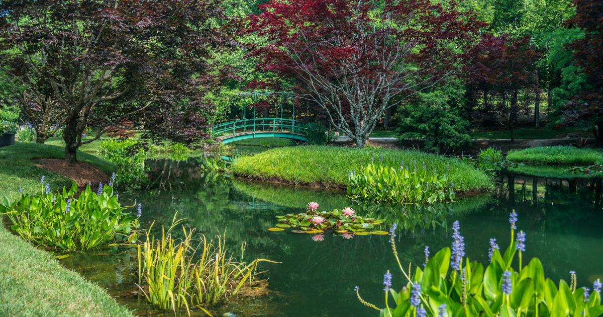 6 scenic small towns in Georgia that are easy to miss but worth finding