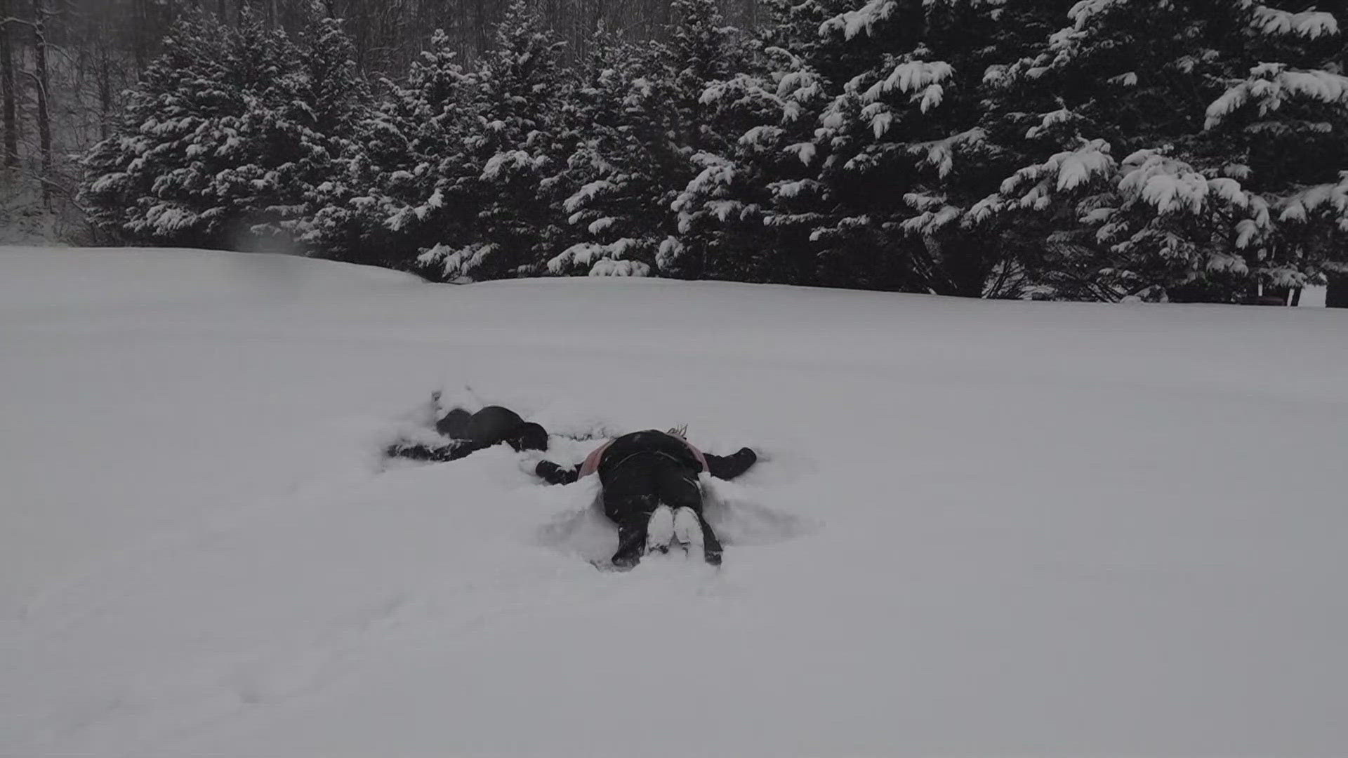 Reporter Emily enjoys Sevierville's wintry weather by making snow angels