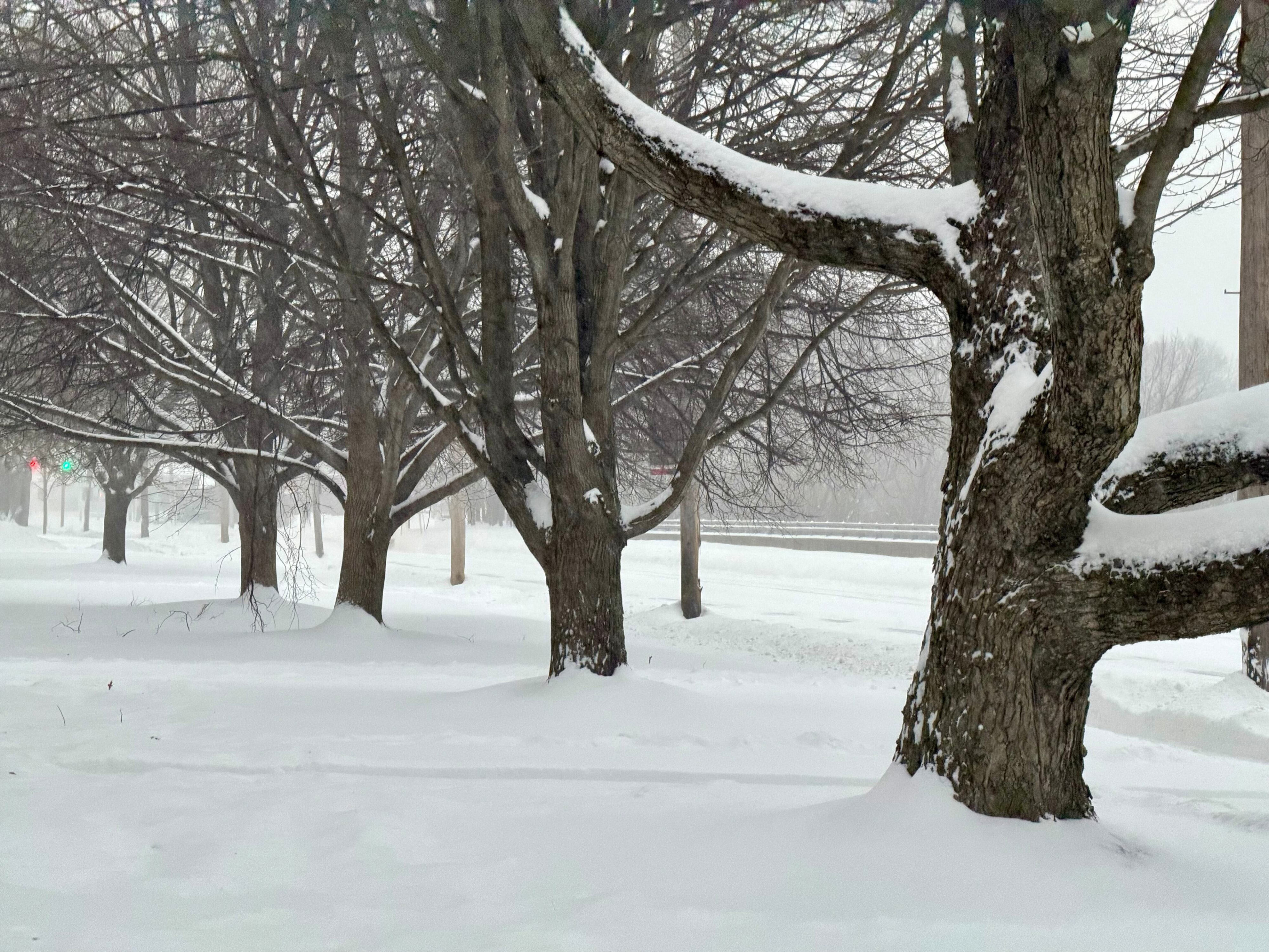 Bitter wind chills sweep Northeast Ohio, putting many under morning ...