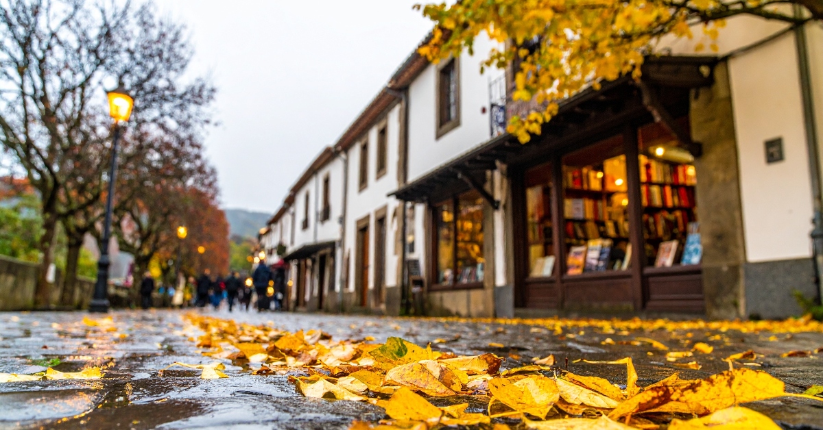 The most beloved bookstore in every state (#21 isn't just for Ivy Leaguers)