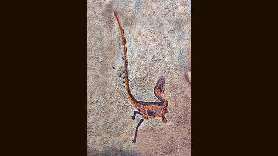 How to survive an asteroid: A look at how birds made it this far