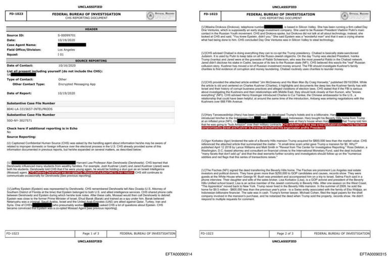 FBI report alleges US President Trump 'compromised by Israel': Epstein ...