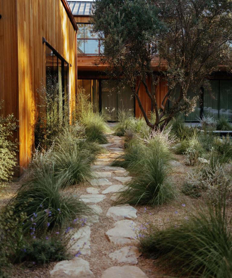 Mosaic planting is the curated-meadow trend replacing unreliable ...