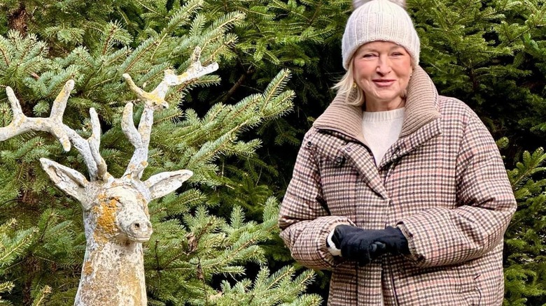 Martha Stewart's favorite travel destination in America is a charming ...
