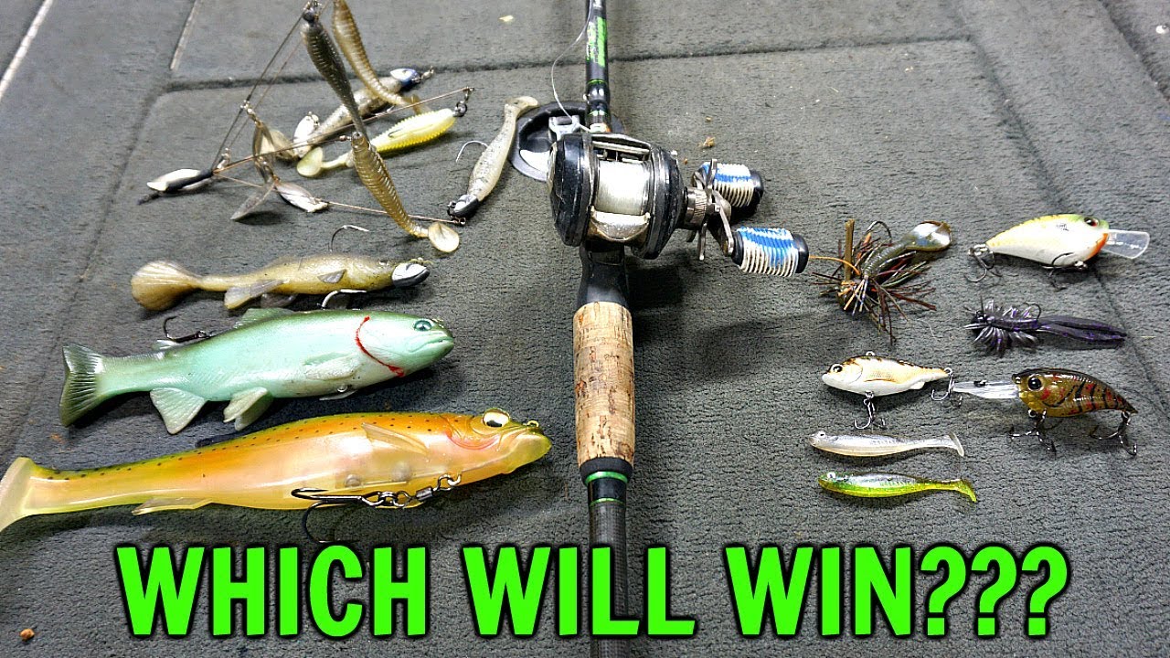 Big vs. small baits challenge produces surprising bass results