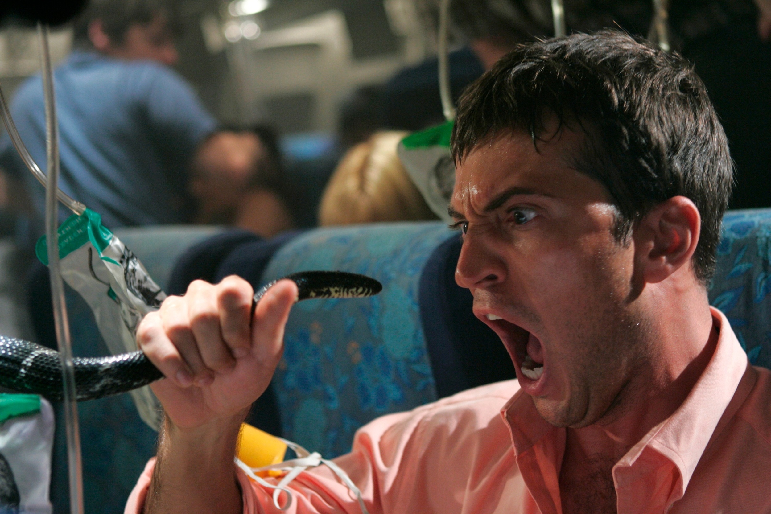 The 15 best films about killer animals