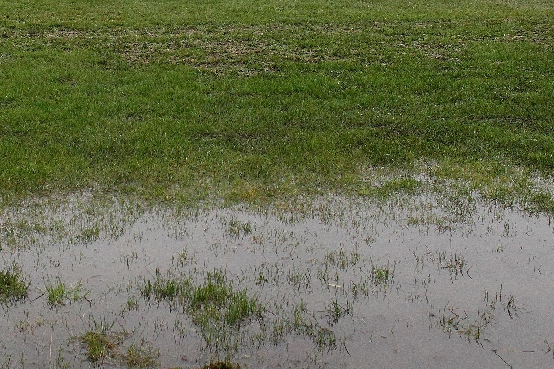 GAMES OFF as pitch inspections called with Irish League fixture list ...
