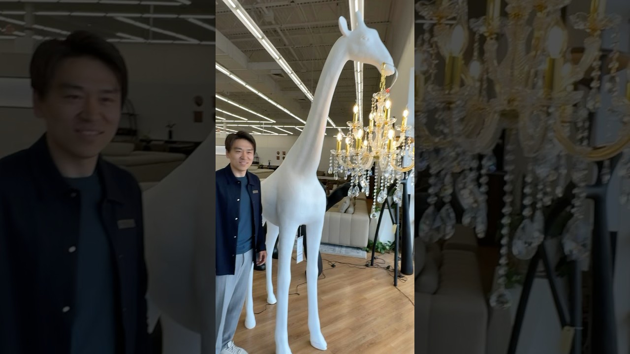 Animal furniture took over our home