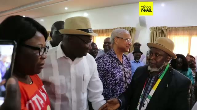 Guinea-Bissau's opposition leader released from jail after months ...