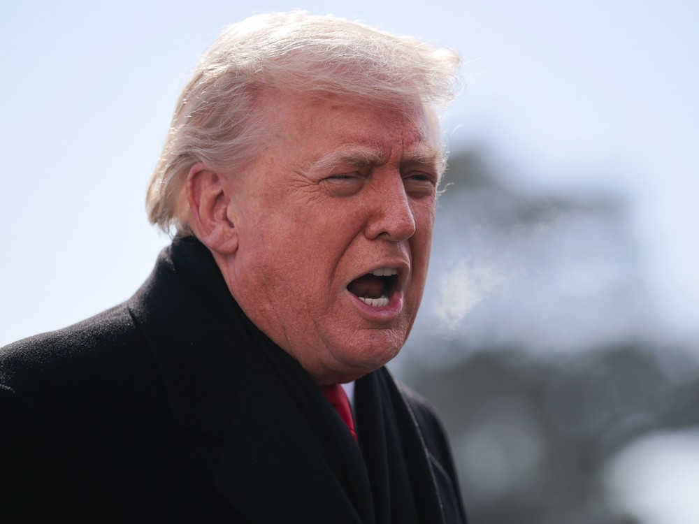 You said it: Canada's cartoon reality