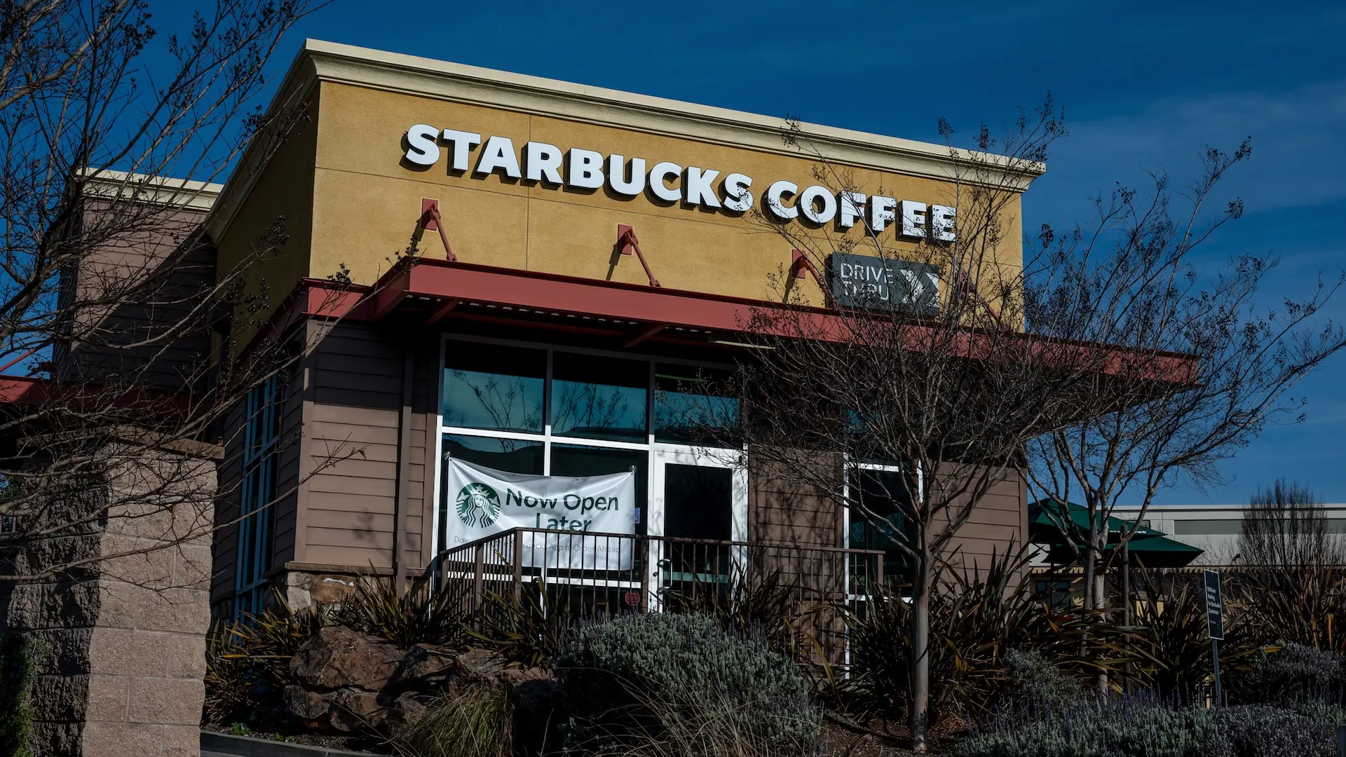 Starbucks finally fixes its most annoying feature: How to make sure ...