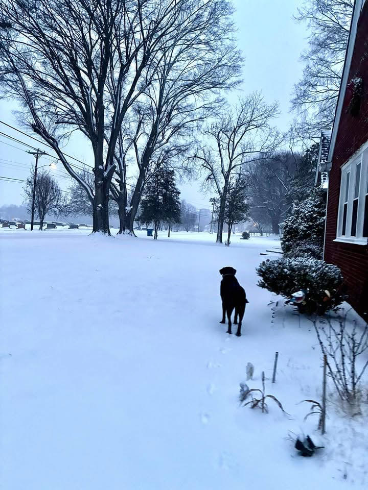Residents navigate snowy roads in Indian Land