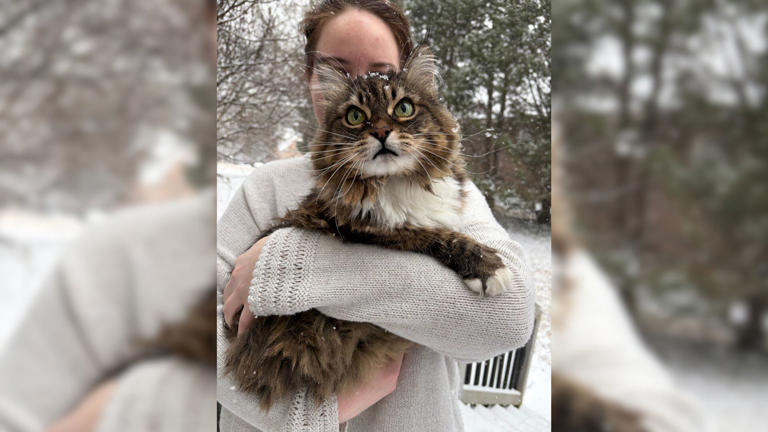 Weekend snow arrives in the Carolinas