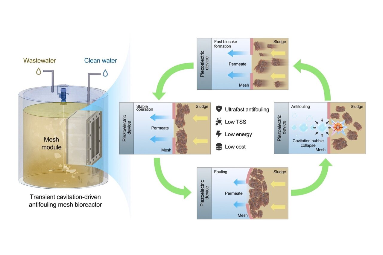 Mesh bioreactor achieves 20‑fold efficiency increase and 50% cost ...