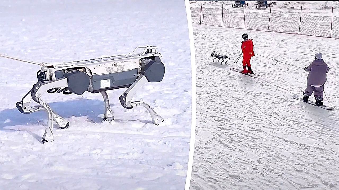 Robo-dogs take over ski slopes with futuristic rides in China
