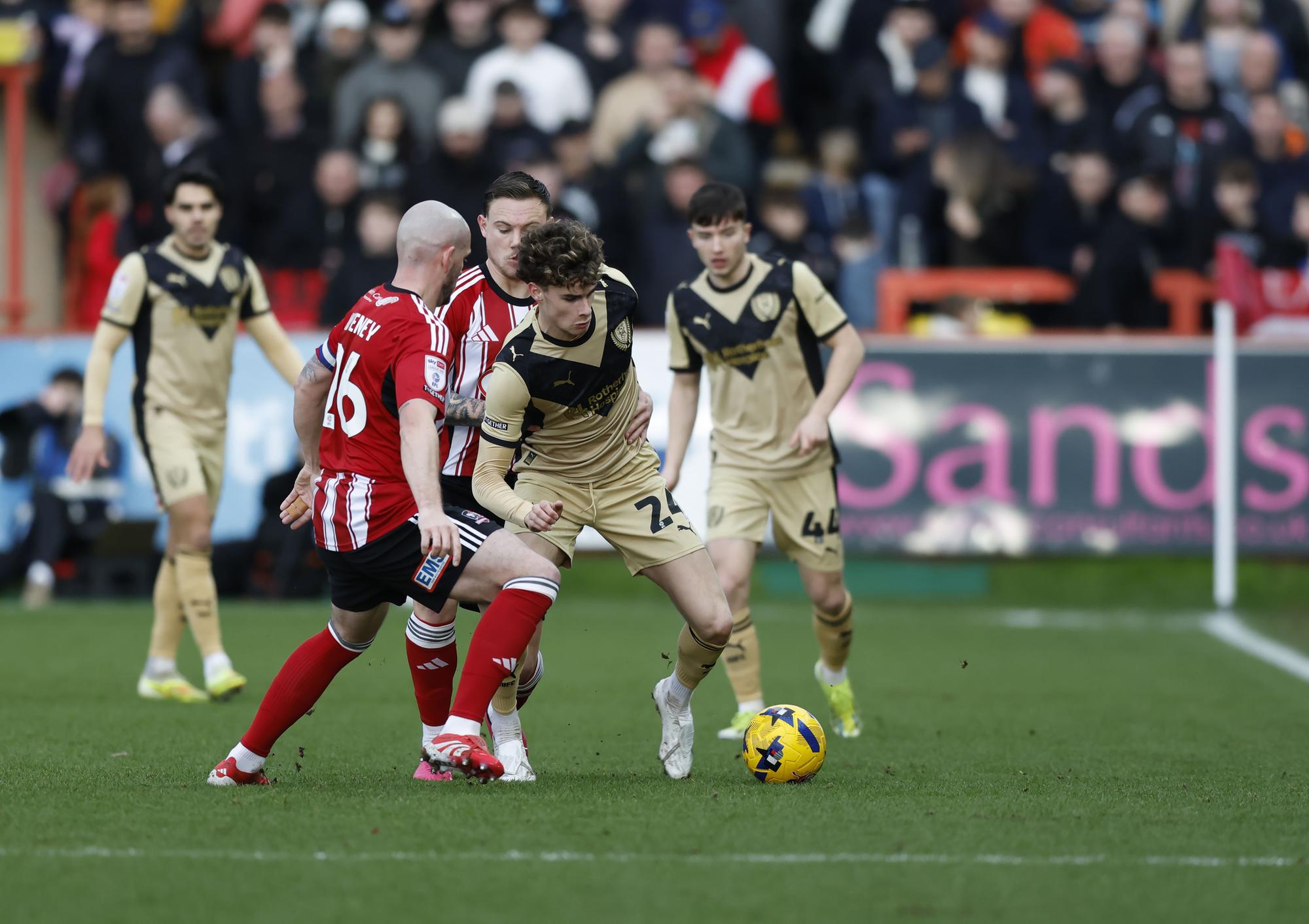 Millers come good ... really good! On-the-whistle report: Exeter City 0 ...