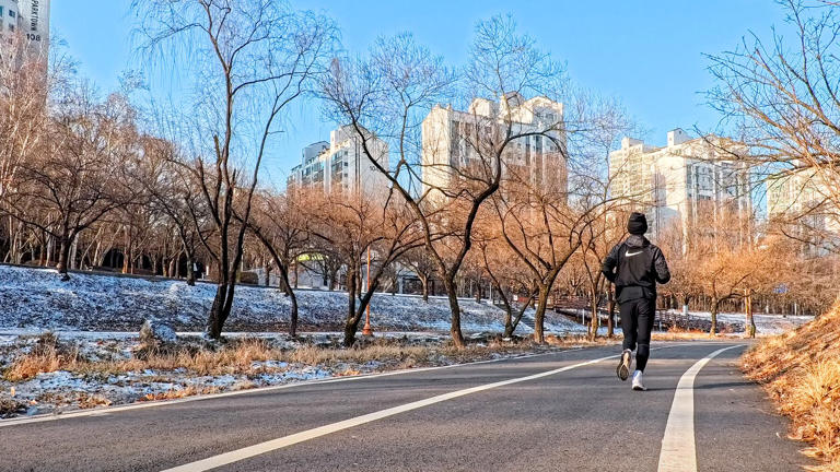 Chosun Ilbo launches three running series for all skill levels