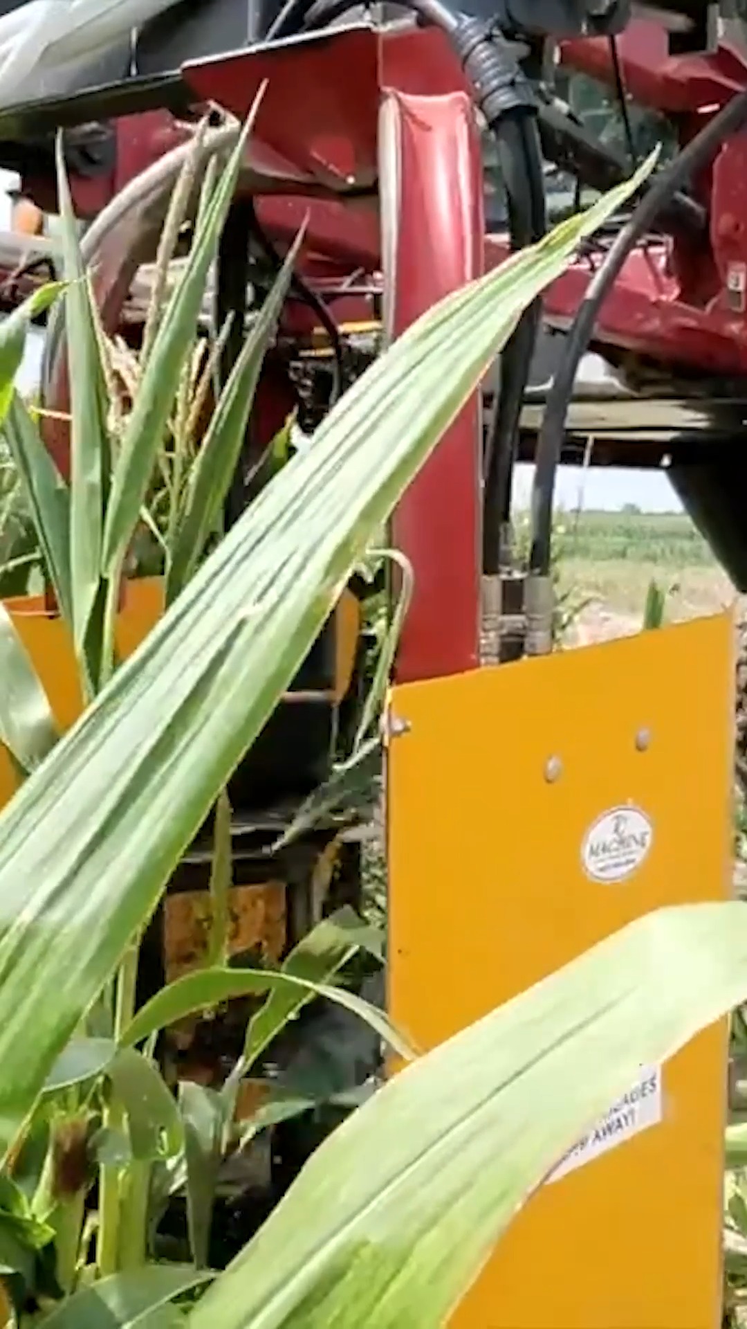 Here we go in slow motion!