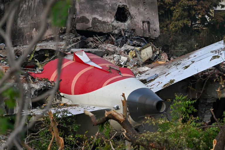 Air India crash probe leans towards deliberate pilot action in fireball ...