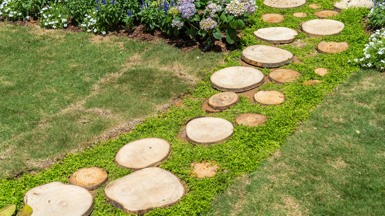 No more concrete: Why tree stump rounds are the superior garden path ...