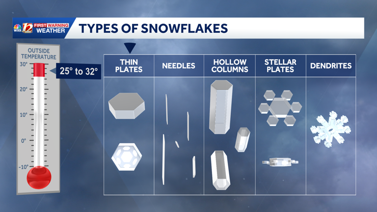 What kind of snowflakes do you see flying? | Types of snowflakes ...