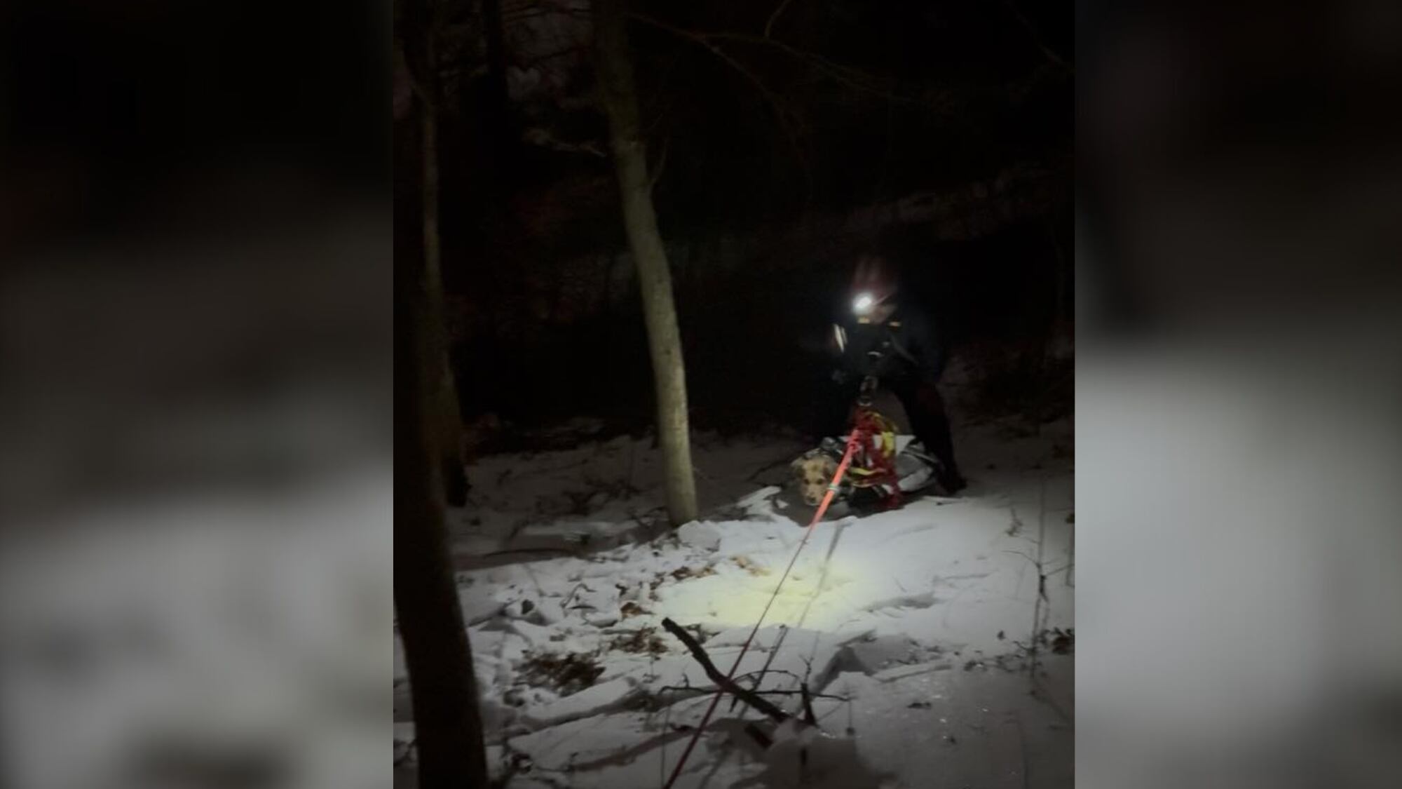 Multiple TN agencies rescue dog after 150FT fall down bluff wall