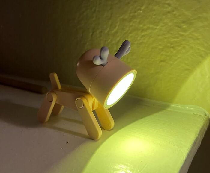 17 white elephant gems that prove the best gifts come with small price tags