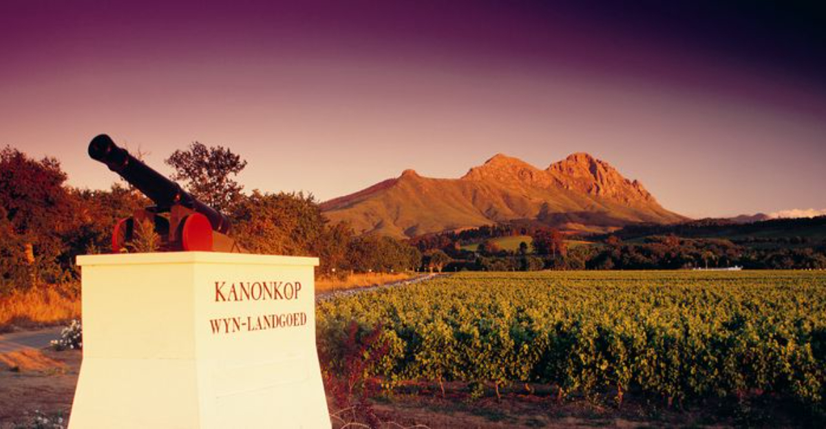 Top 14 vineyards around the world that belong on every wine lover’s ...