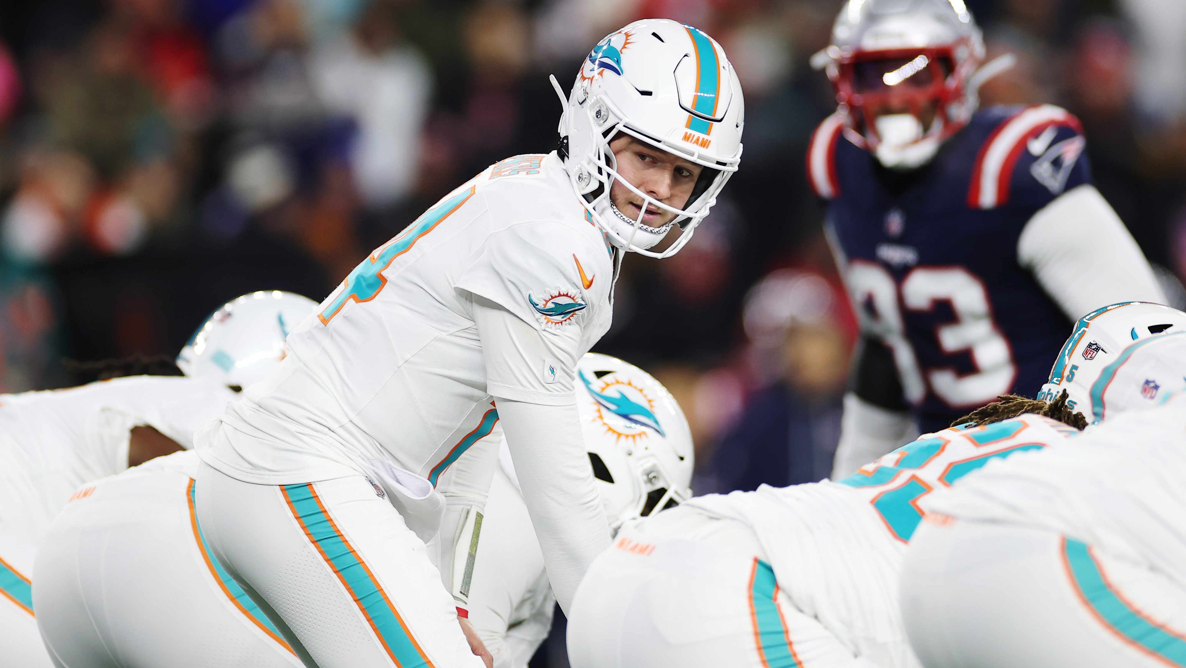Dolphins bring back former coach