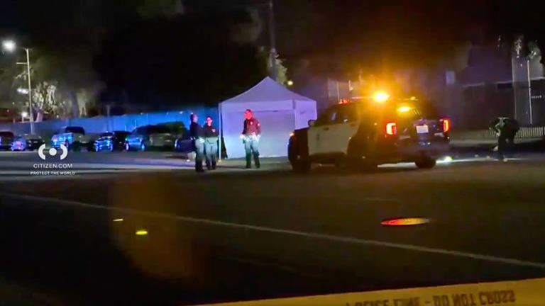 Hit-and-run driver kills elderly woman in San Fernando Valley