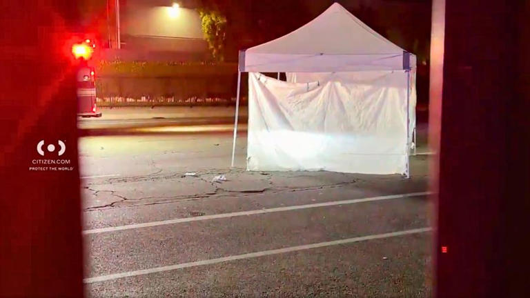 Hit-and-run driver kills elderly woman in San Fernando Valley