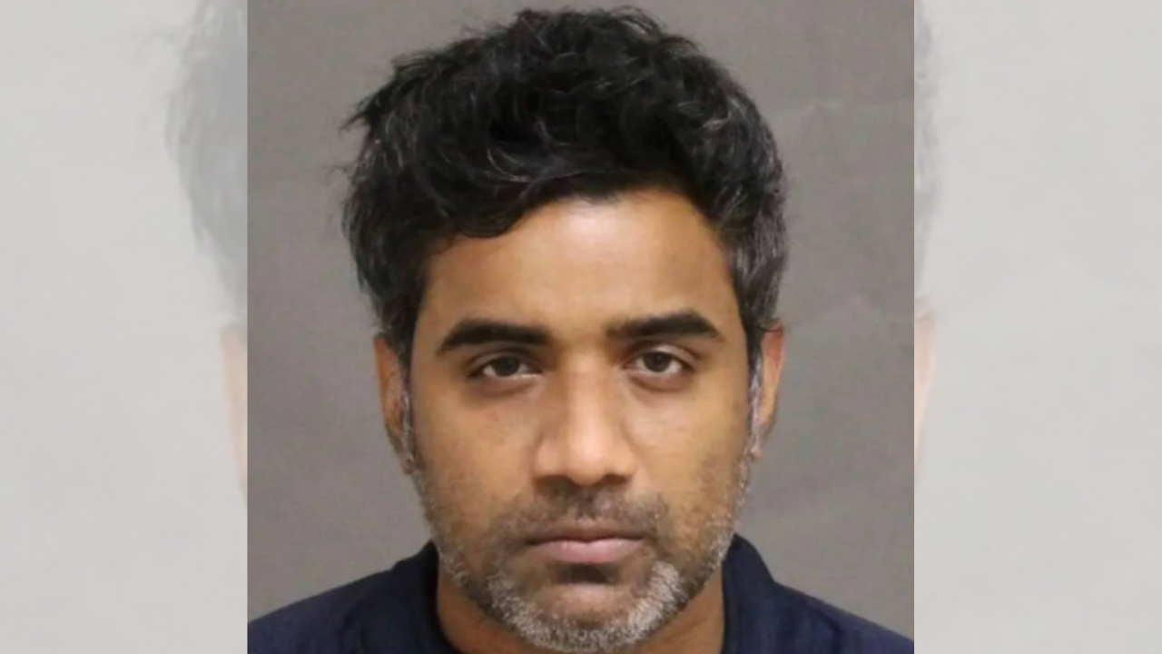 Canadian national Ramanan Pathmanathan pleads guilty to sexually ...