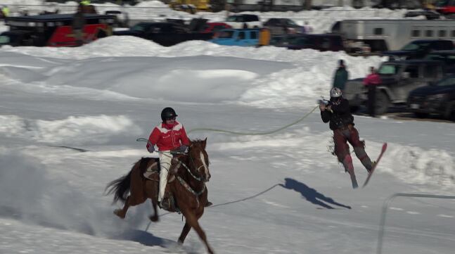Skijor circuit kicks off in Bangor