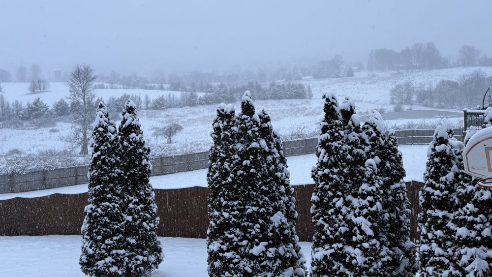 Winter Storm Gianna Slamming The South; Brings More Than 2,000 Flight ...